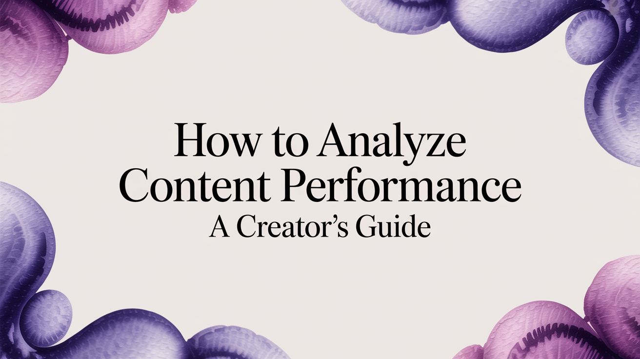 How to Analyze Content Performance: A Creator's Guide